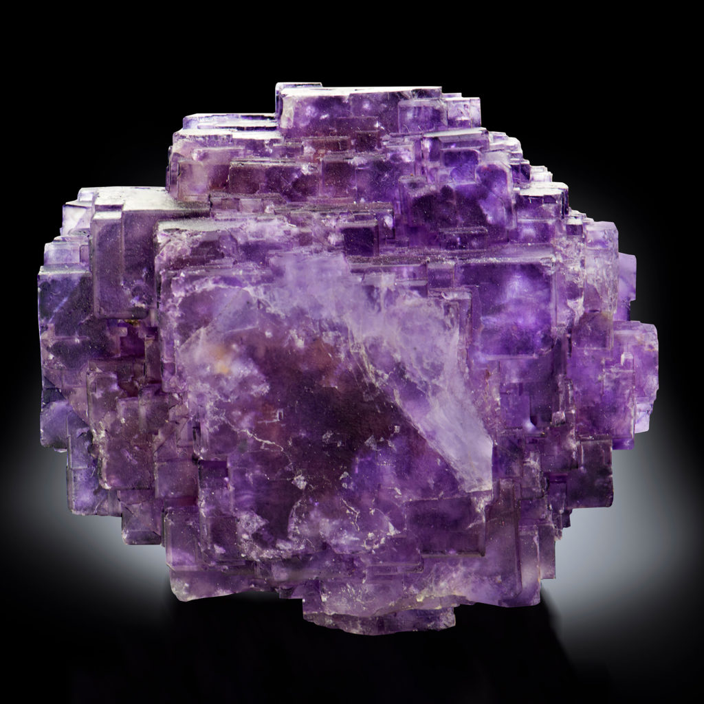 Fine Specimens Archives - MCP Gallery