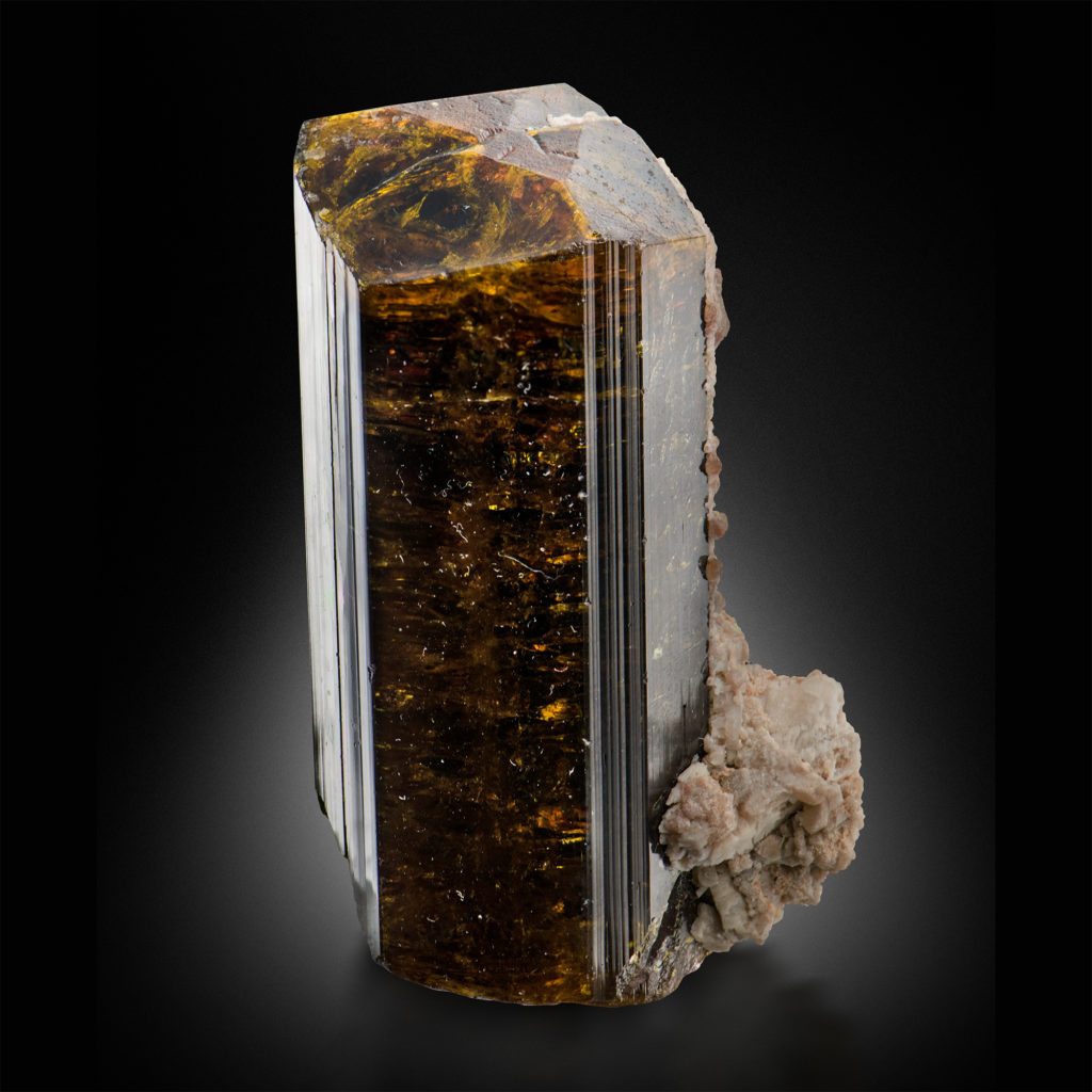 Fine Specimens Archives - MCP Gallery