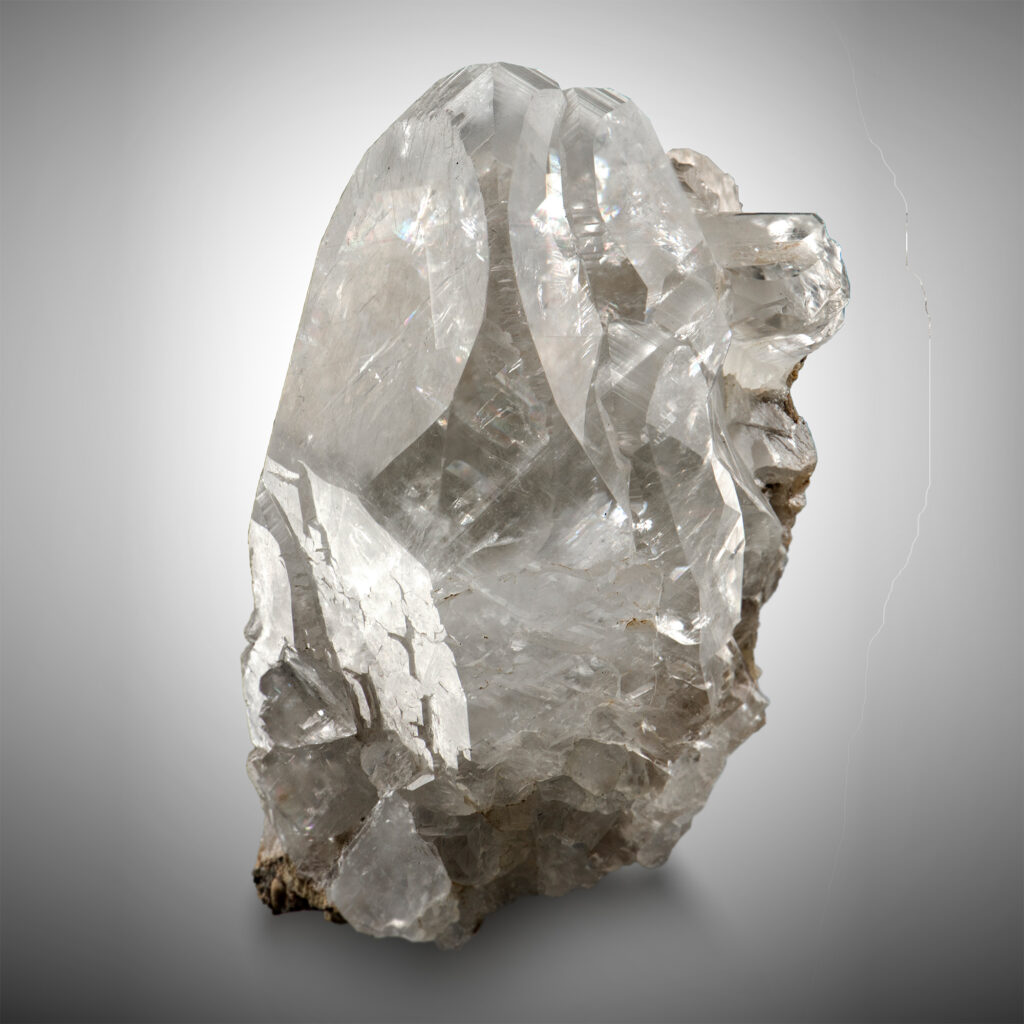 Fine Specimens Archives - MCP Gallery