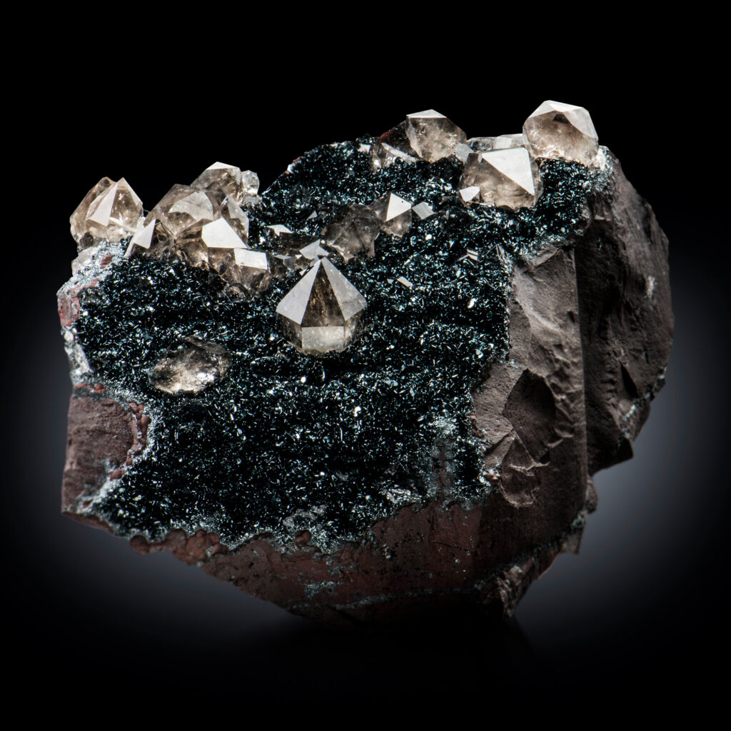 Fine Specimens Archives - MCP Gallery