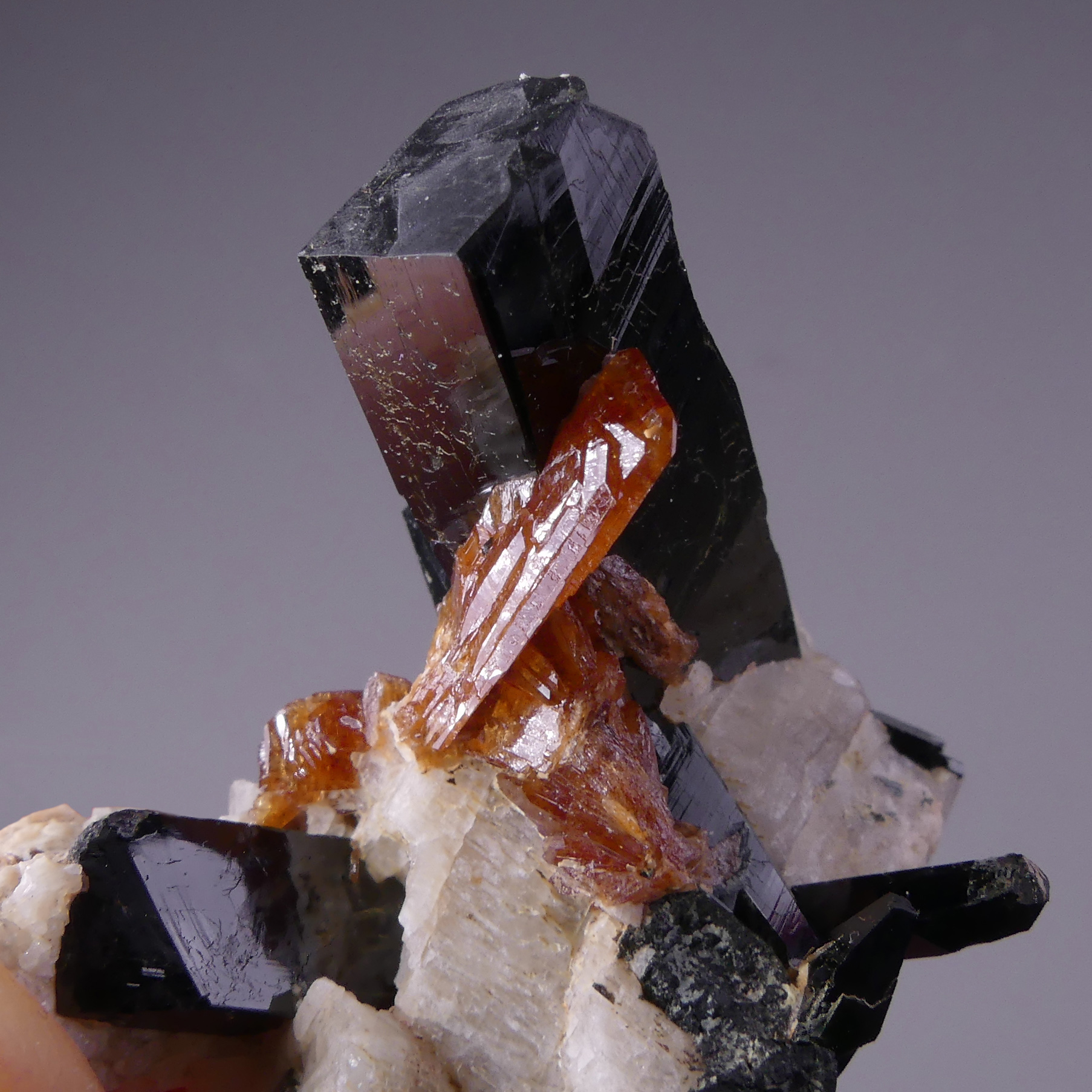 MONAZITE, AEGIRINE - Malawi - GFS0411 - MCP Gallery