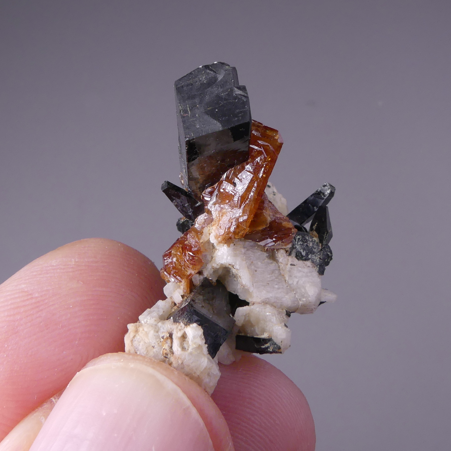 MONAZITE, AEGIRINE - Malawi - GFS0411 - MCP Gallery