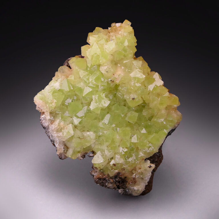 Fine Specimens Archives - MCP Gallery